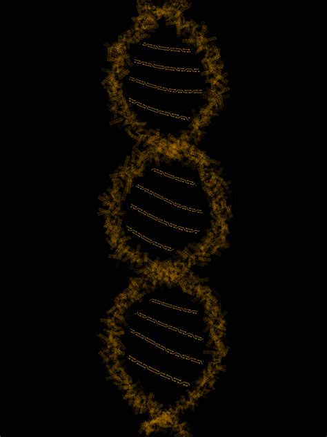 Circuit Dna On Behance