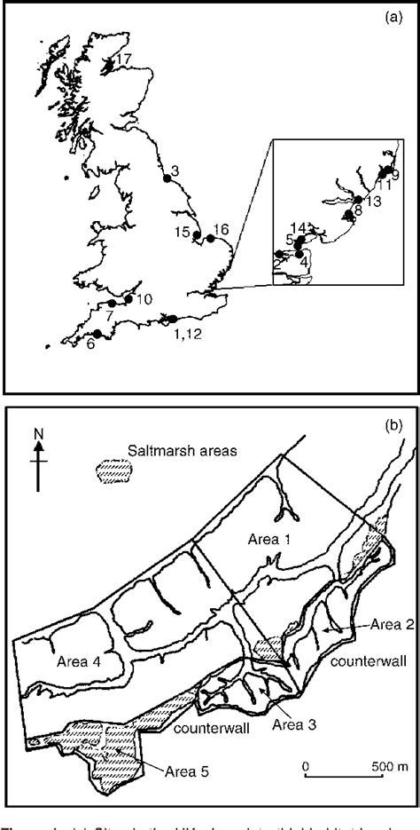 Figure 1 From Managed Realignment In The Uk The First 5 Years Of Colonization By Birds