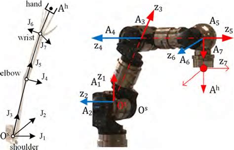 Kinematic Model Of The Human Arm And Humanoid Robot Arm Download Scientific Diagram