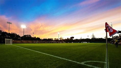 Stanford University Maloney Field At Laird Q Cagan Stadium Field