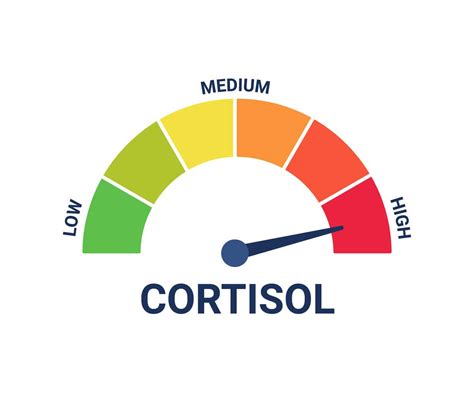 Cortisol O Que é E Qual A Função Zenklub