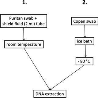 Vaginal Sample Collection And Wet Lab Workflow Consecutive Two Samples Download Scientific