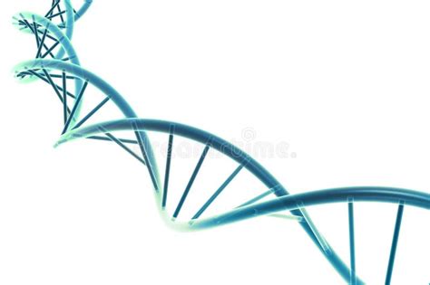 Dna Structure Science And Biotechnology Stock Illustration Illustration Of Model Genetic