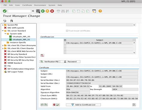 Sap Abap Central Configure Sapcc Nw Abap For Principal Propagation