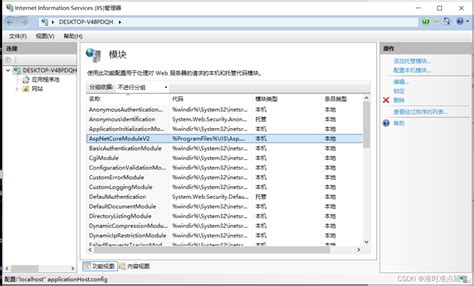错误 500 19 internal server error 无法访问请求的页面，因为该页的相关配置数据无效——错误代码