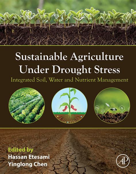Pdf Arbuscular Mycorrhizal Fungi In Combating Drought Stress In Crops