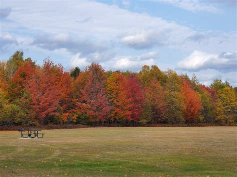 Lakefield Townshipluce County Calendar