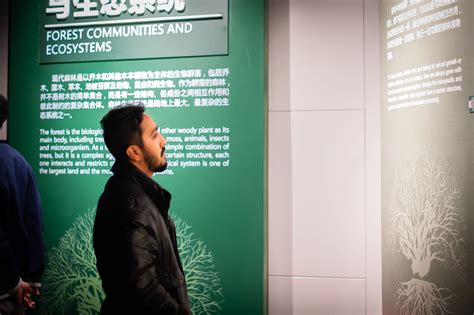 以林育人 中外学生参观森林博物馆 东北林业大学新闻网