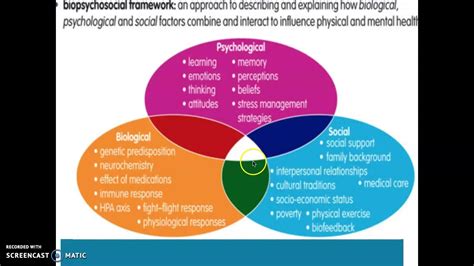 Biopsychosocial Model YouTube