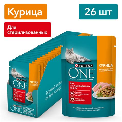 Влажные корма для кошек Purina ONE (Пурина Ван) – купить влажный ...