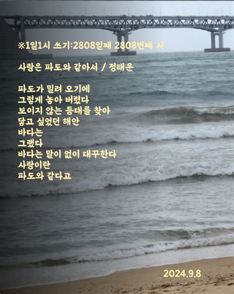 따끈따끈한오늘의시 2024 9 8 1일1시쓰기 2808일째2808번째 시 사랑은 파도와 같아서 정태운 파도가 밀려