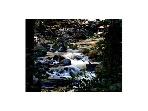 ყოველ კვირას თბილისიბორჯომის მიმართულებით მივემგზავრებით გაატარე