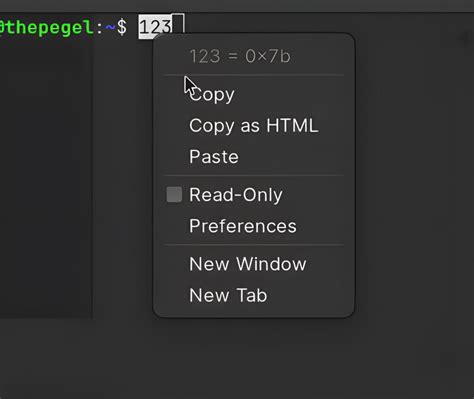 Customizing Context Menu Transformations In Terminal Customization