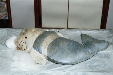 Hong Kongs Hello Kitty Murder Case When A Young Woman Was Killed And Her Dismembered Body