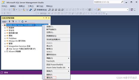 Windows Sql Server Managment Studio Ssms Ssms Setup Chs Csdn