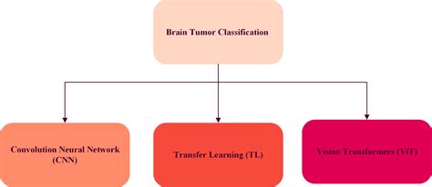 Enhancing Brain Tumor Mri Classification With An Ensemble Of Deep Learning Models And