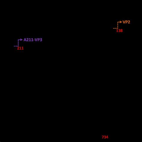 Aav2 Capsid Protein Sequences Searched When Processing Peptide Mapping