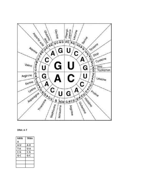 Codon Chart Pdf