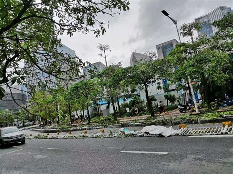 深圳台风山竹登时间深圳台风山竹 随意云