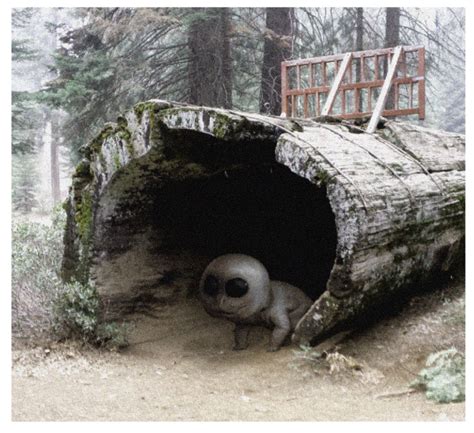 Wild Autism Creature Photo By Inspector31 On Newgrounds