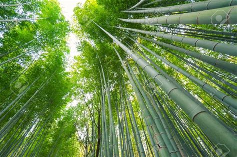 НАРЪЧНИК КАРТИЧКИ МОДА РЕЦЕПТИ СЪВЕТИ