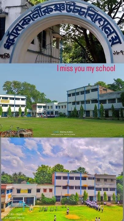 I Love My School ️ Youtube