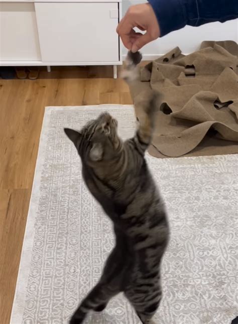 Thoughts On Testing Erp Applications By Franklin Liu Medium