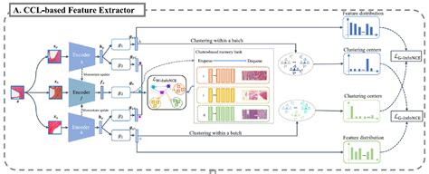 [paper Review] Retccl Clustering Guided Contrastive Learning For Whole Slide Image Retrieval