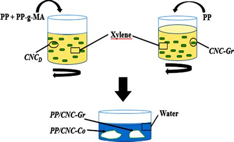Masterbatch Preparation Scheme Download Scientific Diagram