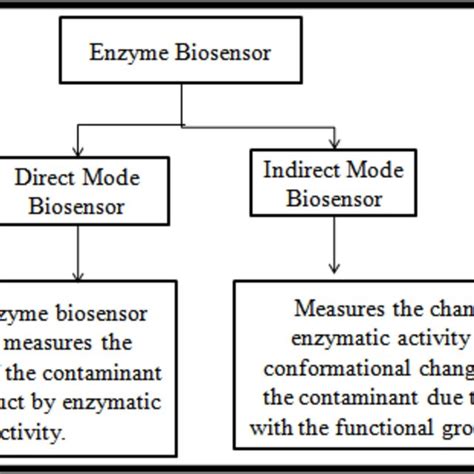 Classification Of Enzyme Biosensor Download Scientific Diagram