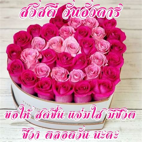 ปักพินโดย ยิ่งกว่า Verre Of Never ใน Goodmorning ดอกไม้