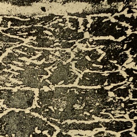 Unlock Soil Basics Elevate Your Garden S Potential