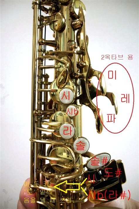 색소폰 기본 운지법 알토색소폰 기본 운지법 네이버 블로그
