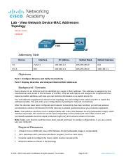 Lab View Network Device MAC Addresses Docx Lab View Network Device MAC Addresses