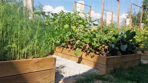 Повдигнати лехи