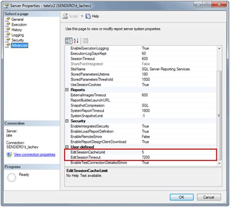 report builder 3 0 edit sessions prologika