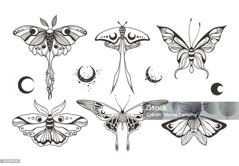 신비로운 천상의 나방과 나비 클립 아트 번들 벡터의 마법의 흑백 곤충 실루엣 비현실적인 손으로 그린 밤 나방 고립 된 요소 팩 나방에 대한 스톡 벡터 아트 및 기타 이미지