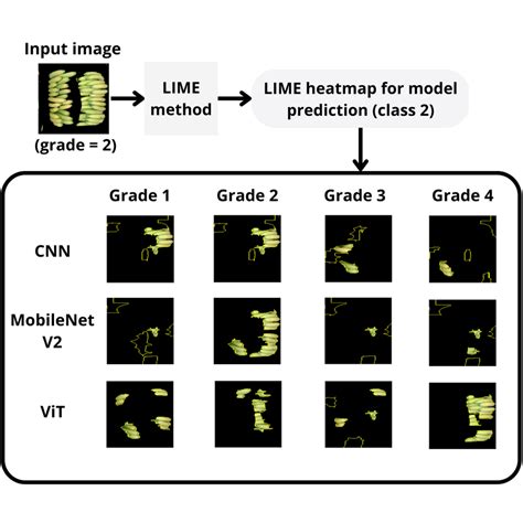 Examples Of Explanations For Deep Models Generated Using Lime A And Download Scientific
