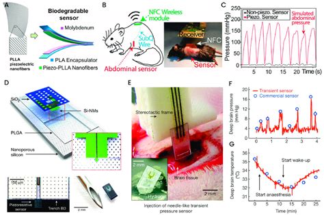 Demonstration Of Biophysical Sensing Using Implantable Biosensors Download Scientific Diagram