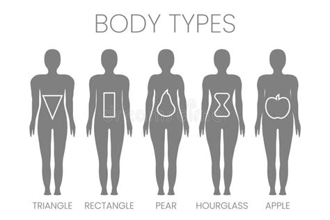 Gender Neutral Body Shape Types Triangle Rectangle Apple Pear And Hourglass For Women And Men
