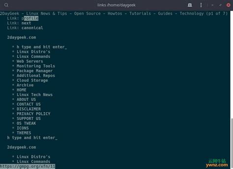 从linux终端中打开 访问 浏览网站 可用links elinks lynx w3m browsh linux命令 云网牛站