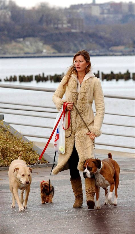 Berühmte Hunde Das Sind Die Vierbeiner Der Stars