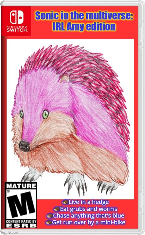 Worst New Switch Game Imgflip