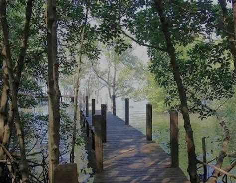 รูป ศูนย์ศึกษาการพัฒนาอ่าวคุ้งกระเบน ป่าชายเลน Wongnai