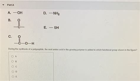 Solved D Nh2 E — Sh 0 0 H During The Synthesis Of A