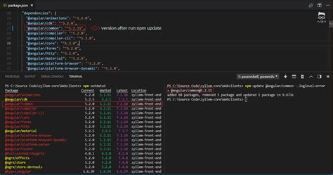 npm check and update package if needed trung vo