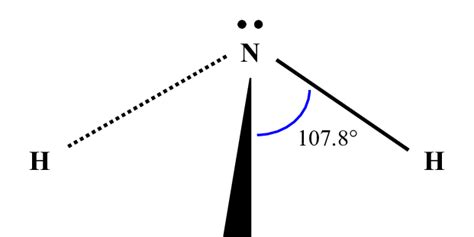 Draw The Structure Diagram Of Ammonia Molecule As Porn Sex Picture