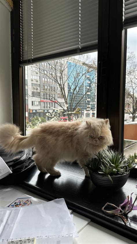 Careers Data Masters