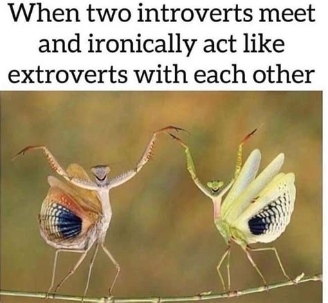 25 Introvert Vs Extrovert Memes That Are Too Relatable