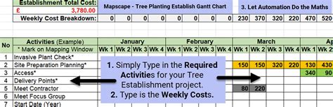 Tree Planting Mapscape